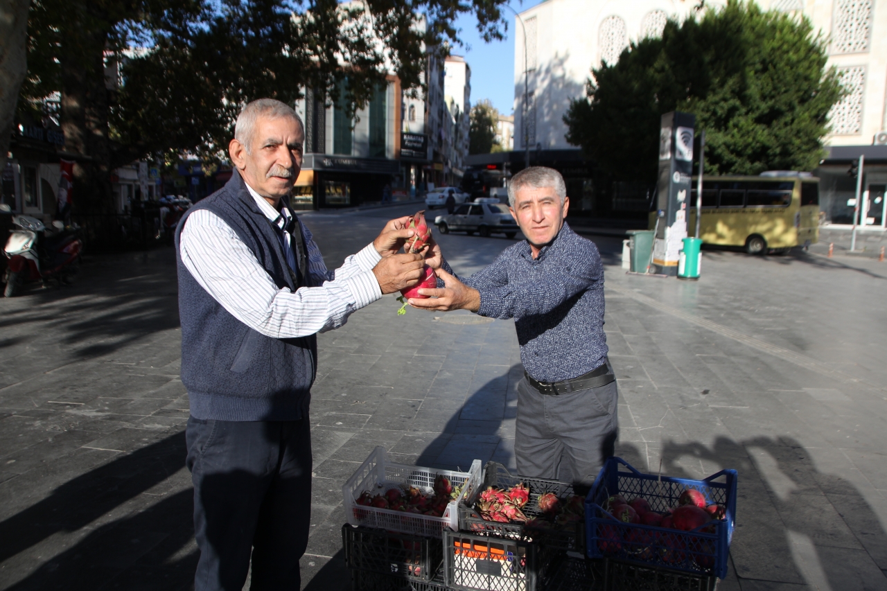 Antalyalı üretici, Trump için turp ve ejder meyvesi dağıttı - Bengü Türk